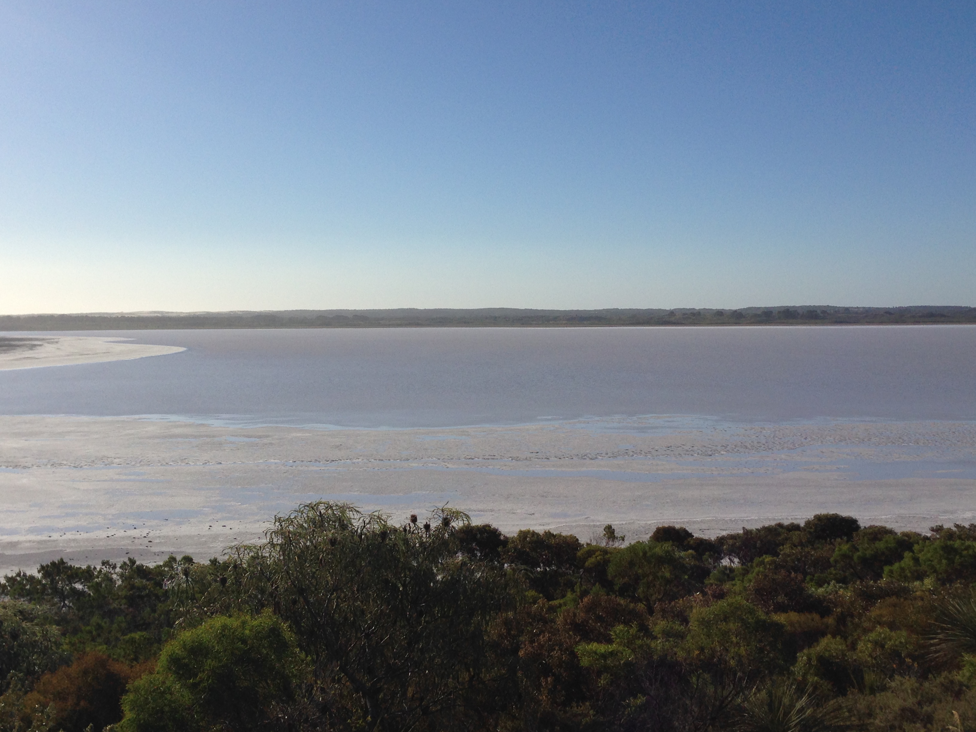 IMG_0743 | Safar Ali